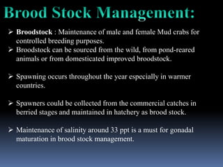 Brood stock management and larval rearing of mud crab scylla serrata ...