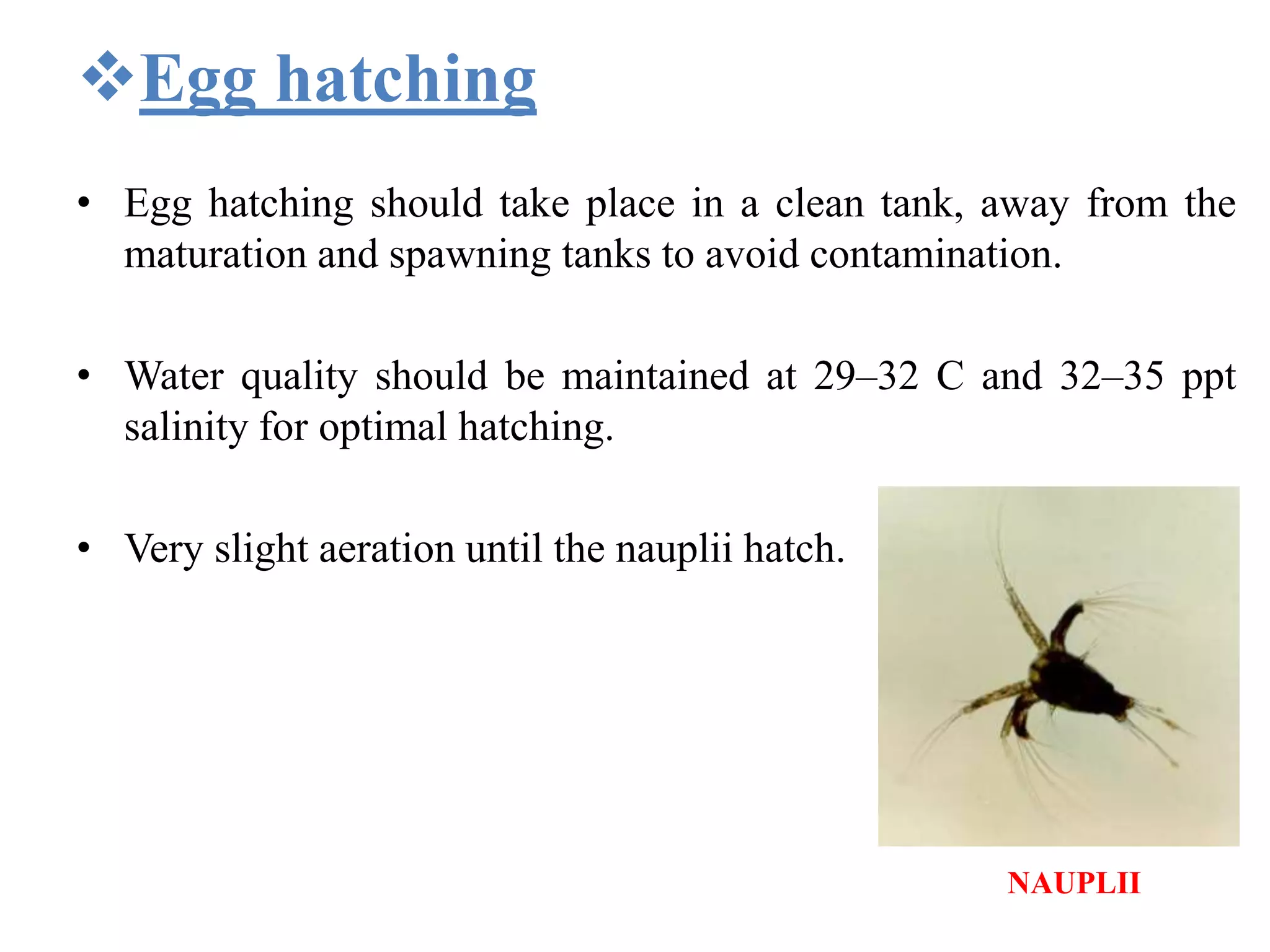 Broodstock nd hatchery management | PPTX