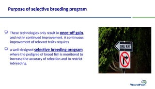 Broodstock selection for Breeding (1).pptx