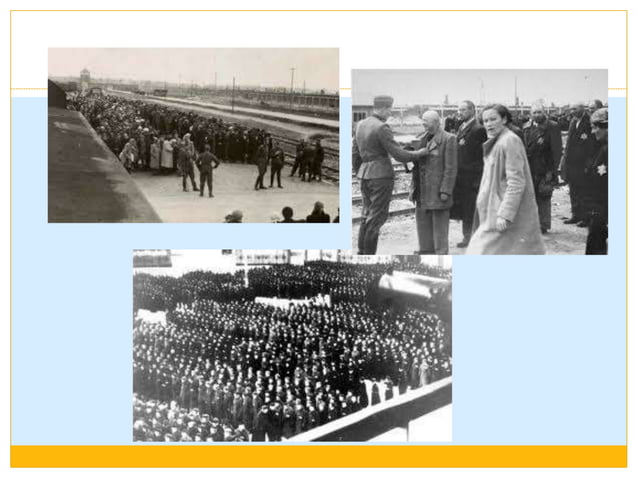Holocaust Selection Process - Brooke Bradford | PPT