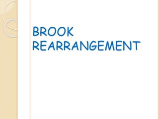 Brook rearragment | PPTX