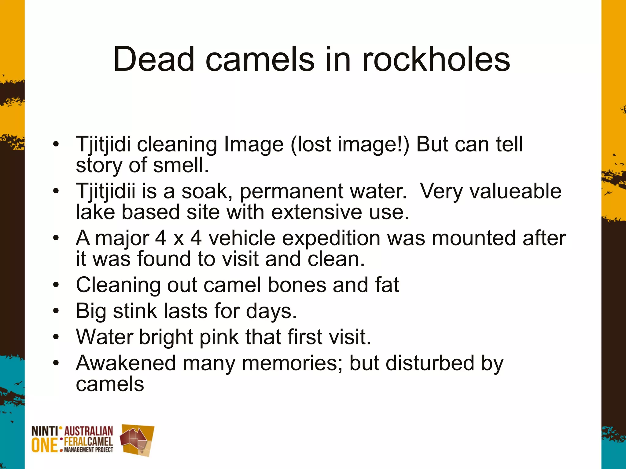 Byron Brooks, Ethan Hansen, Troy Hansen and Peter Twigg: 'Camels in ...
