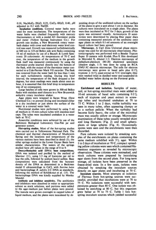 Thermus Aquaticus Scientific Name