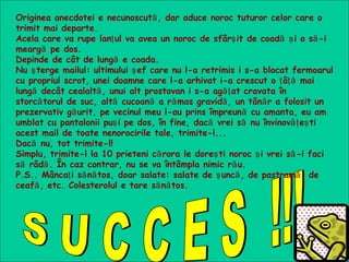 Broscuta norocoasa | PPS