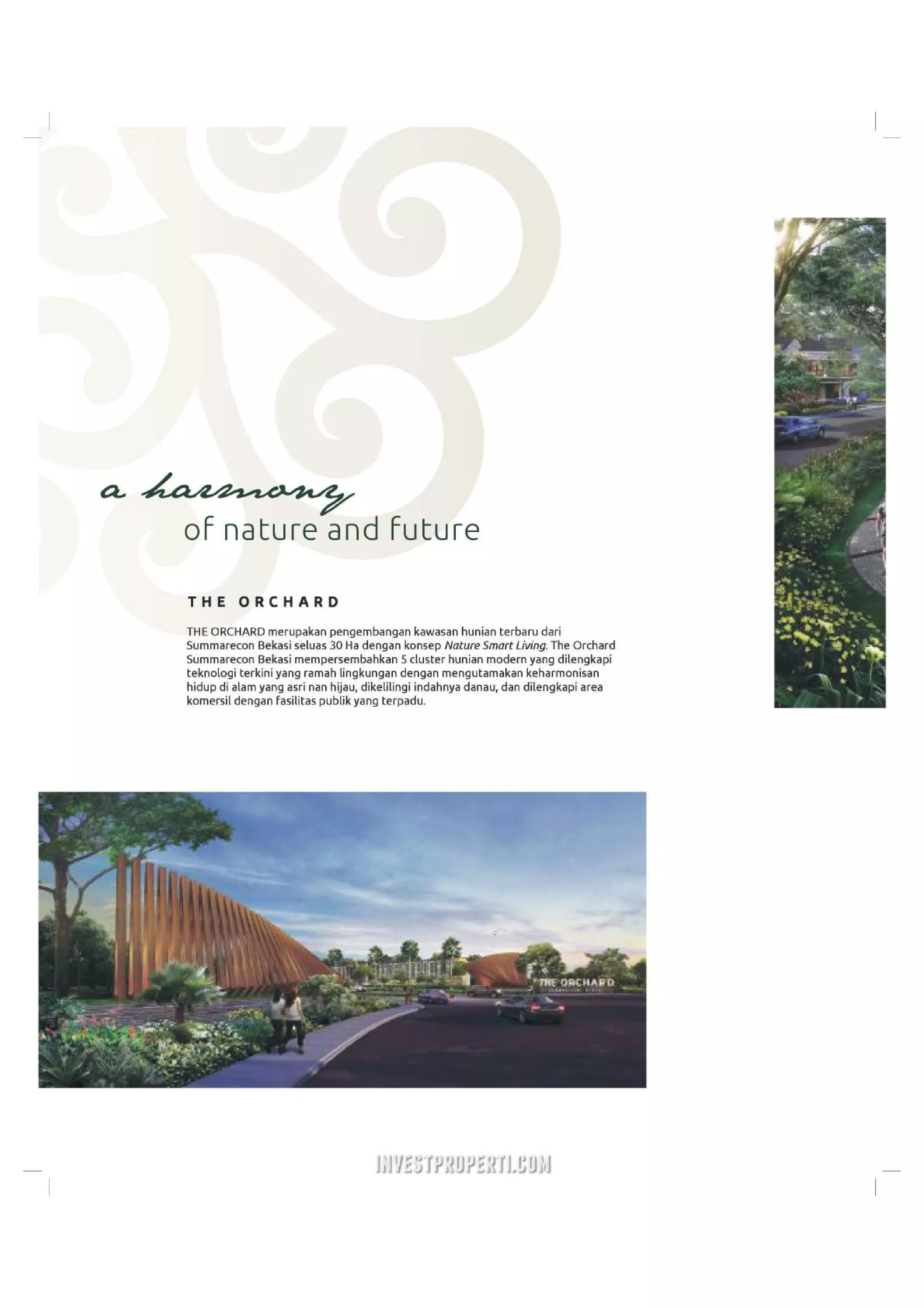 Brosur Cluster Olive Residence Summarecon Bekasi | PDF