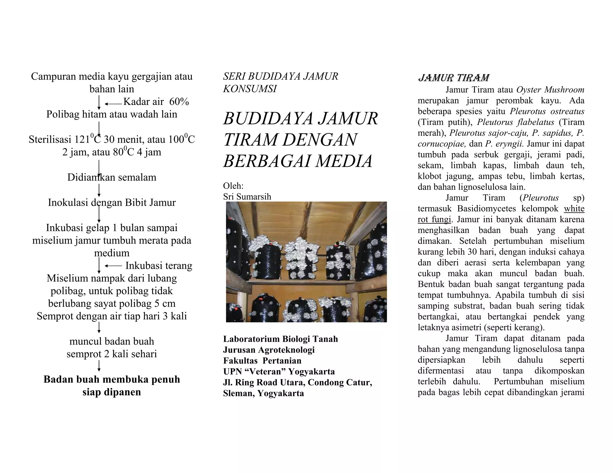 Brosur-Teknik- budidaya-jamur | PDF