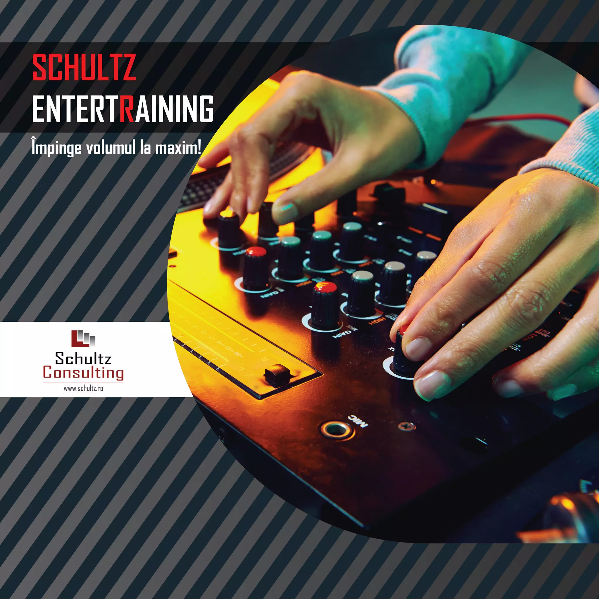 Brosura Schultz EntertRaining | PDF