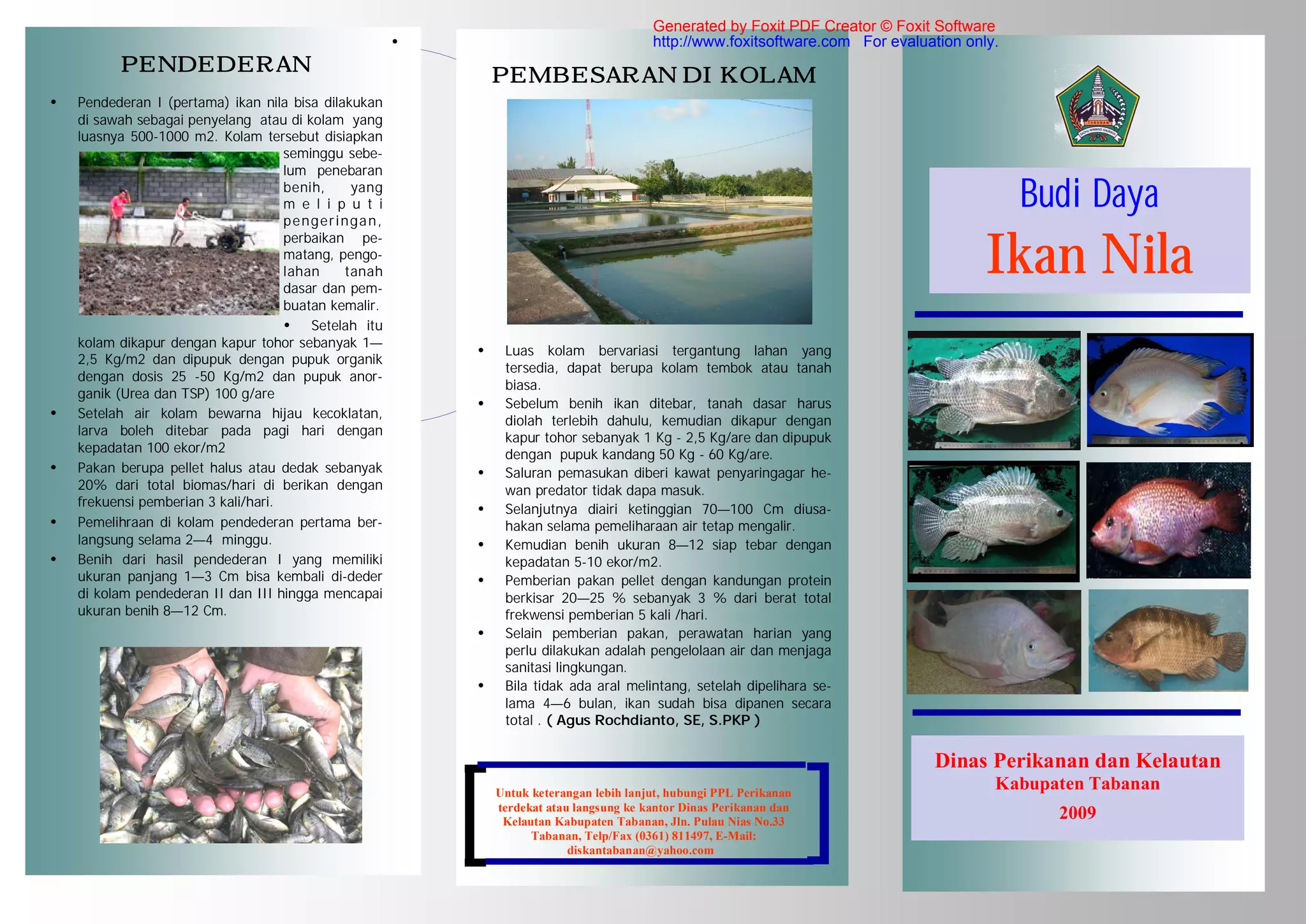 Budidaya Ikan Nila | PDF