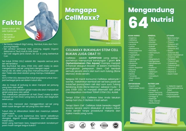 brosur cellmaxx v4 produk kesehatan malaysia | PPT