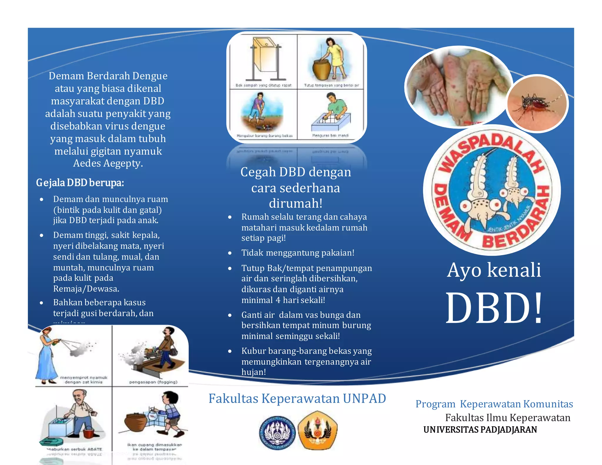 Leaflet Demam Berdarah Dengue | DOCX