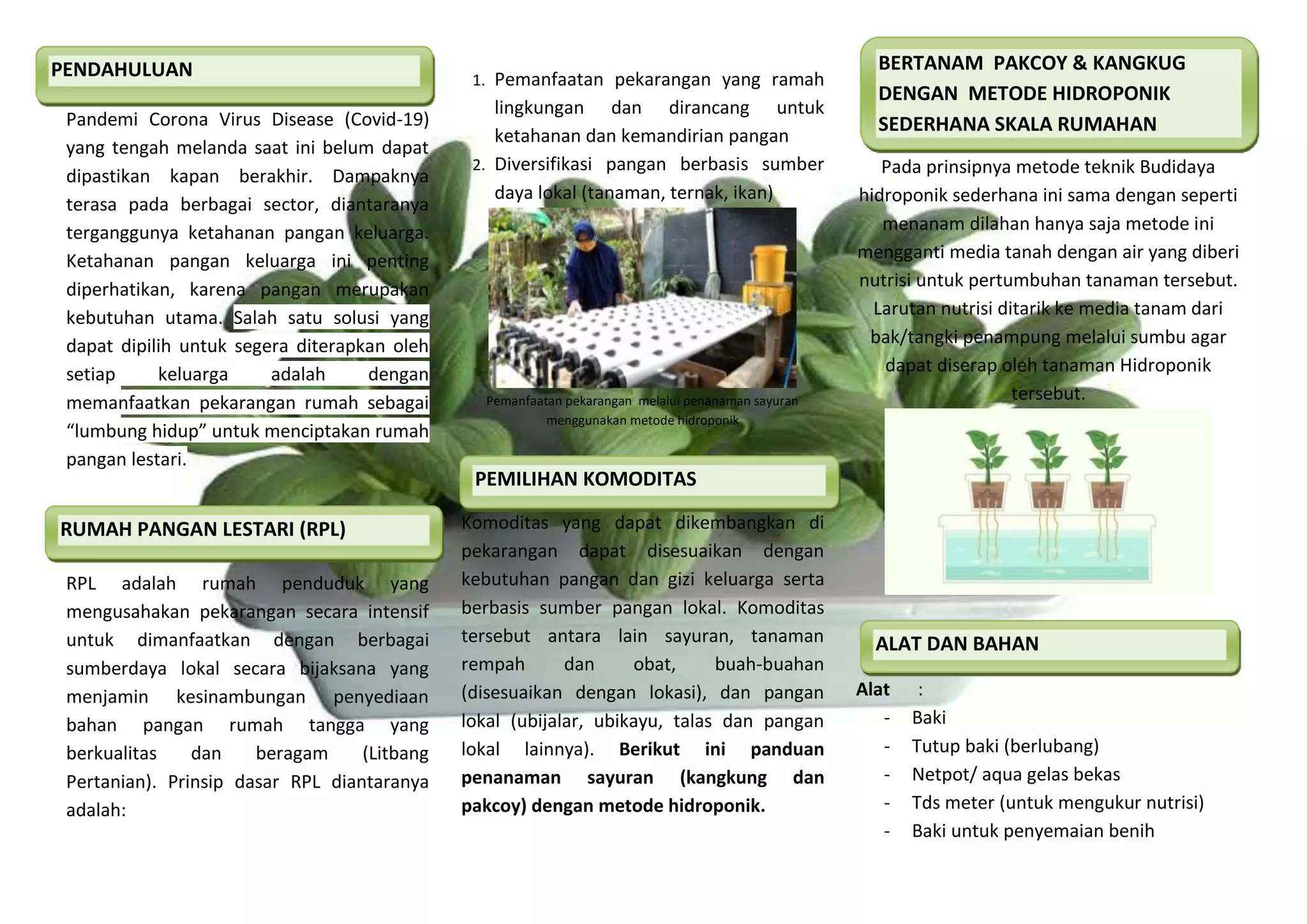 Brosur pengabdian metode hroponik | PDF