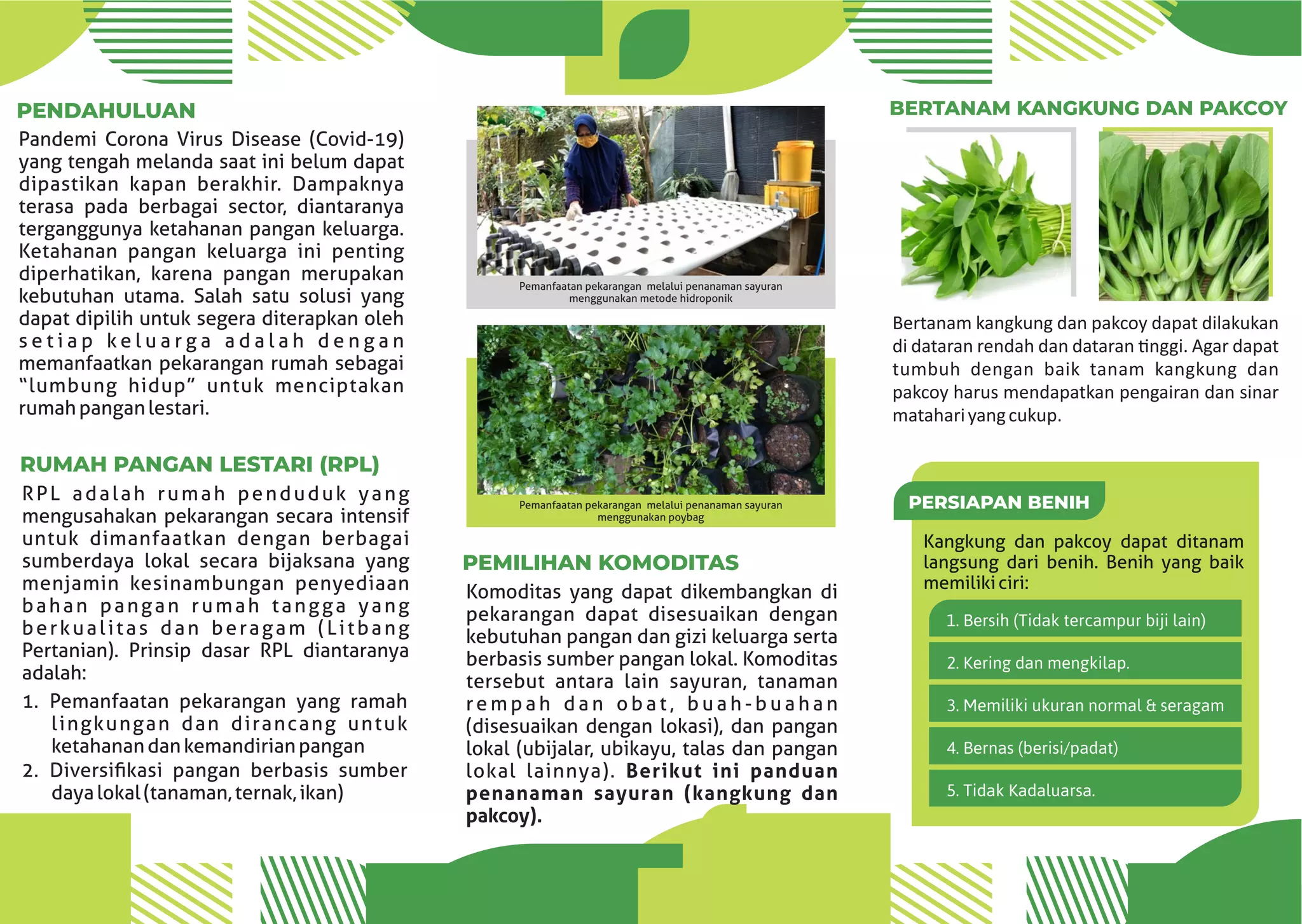 Brosur pengabdian p2 l | PDF