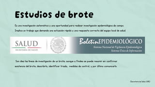 Brote, tipos, fases de estudios epidemiologicos | PDF
