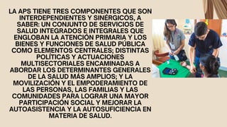 Norma yanet sulca huamani atencion primaria de salud | PDF