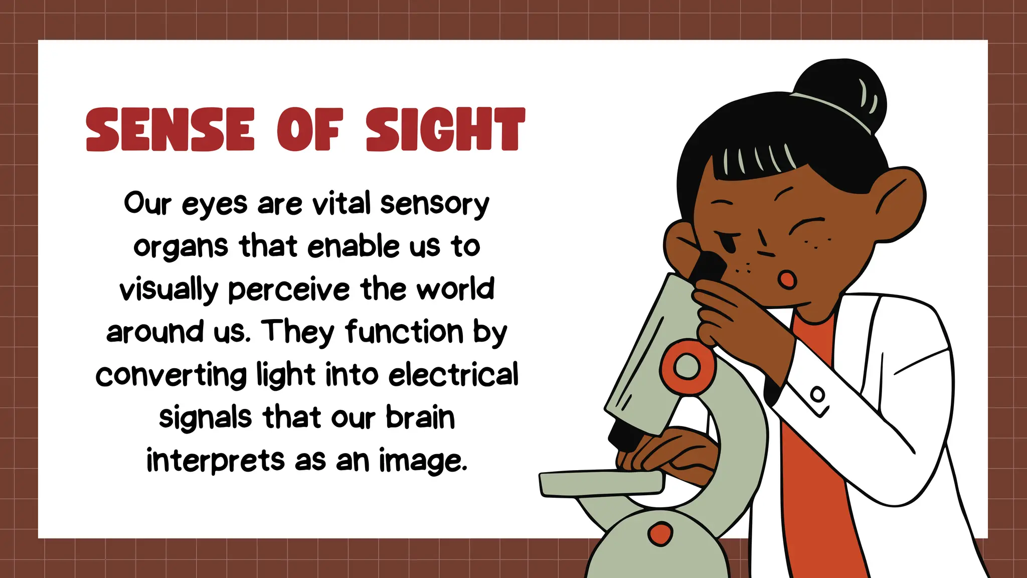 Brown and Red Simple Illustrative Science Five Senses Educational ...