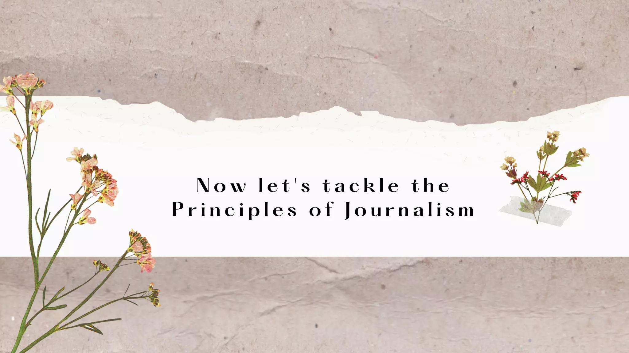 Principles of Journalism | PDF