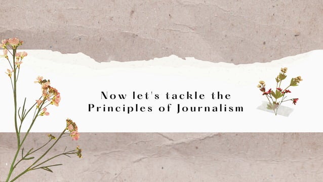 Principles of Journalism | PDF | Media Industry | Industries