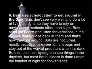 Brown bats by Greg | ODP