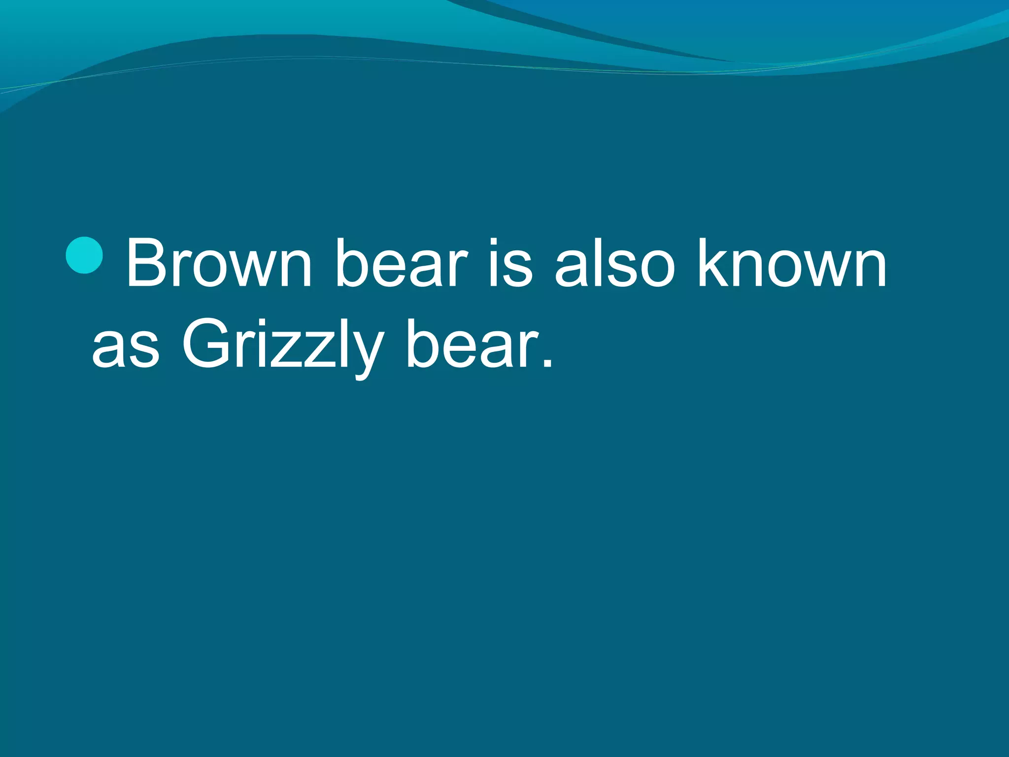 Brown Bear | PPT