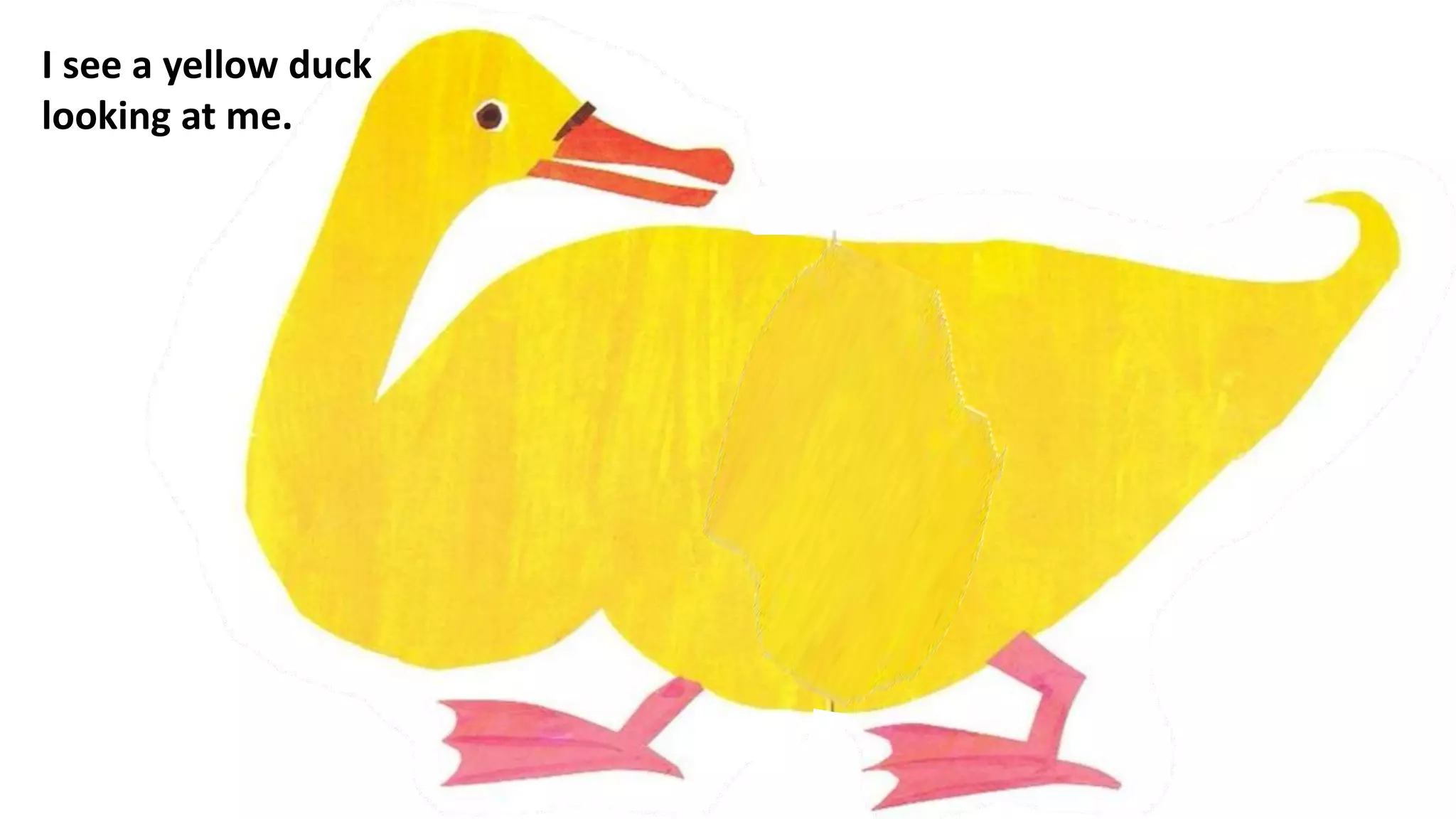 Brown Bear, Brown Bear, what do you see? | PPTX