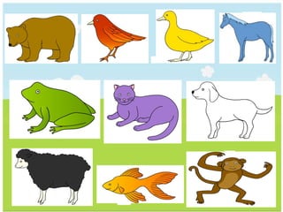 Brownbear brownbear new | PPTX | Birds | Pets