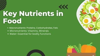 Understanding Nutritional Value Healthy Diet Food | PDF