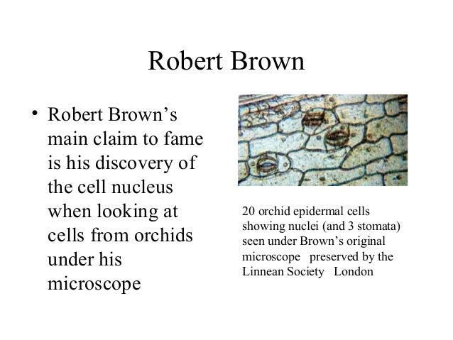 Robert Brown Cell