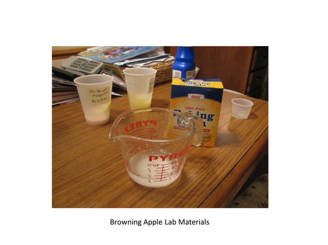 Browning Apple Lab | PPT