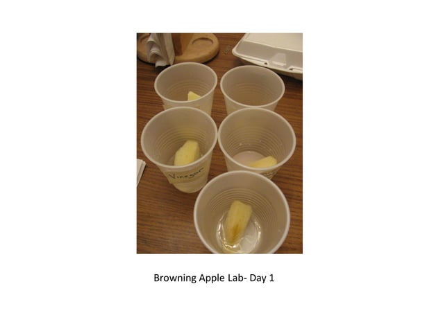 Browning Apple Lab | PPT