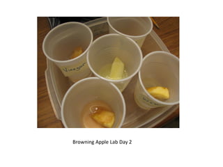 Browning Apple Lab | PPT