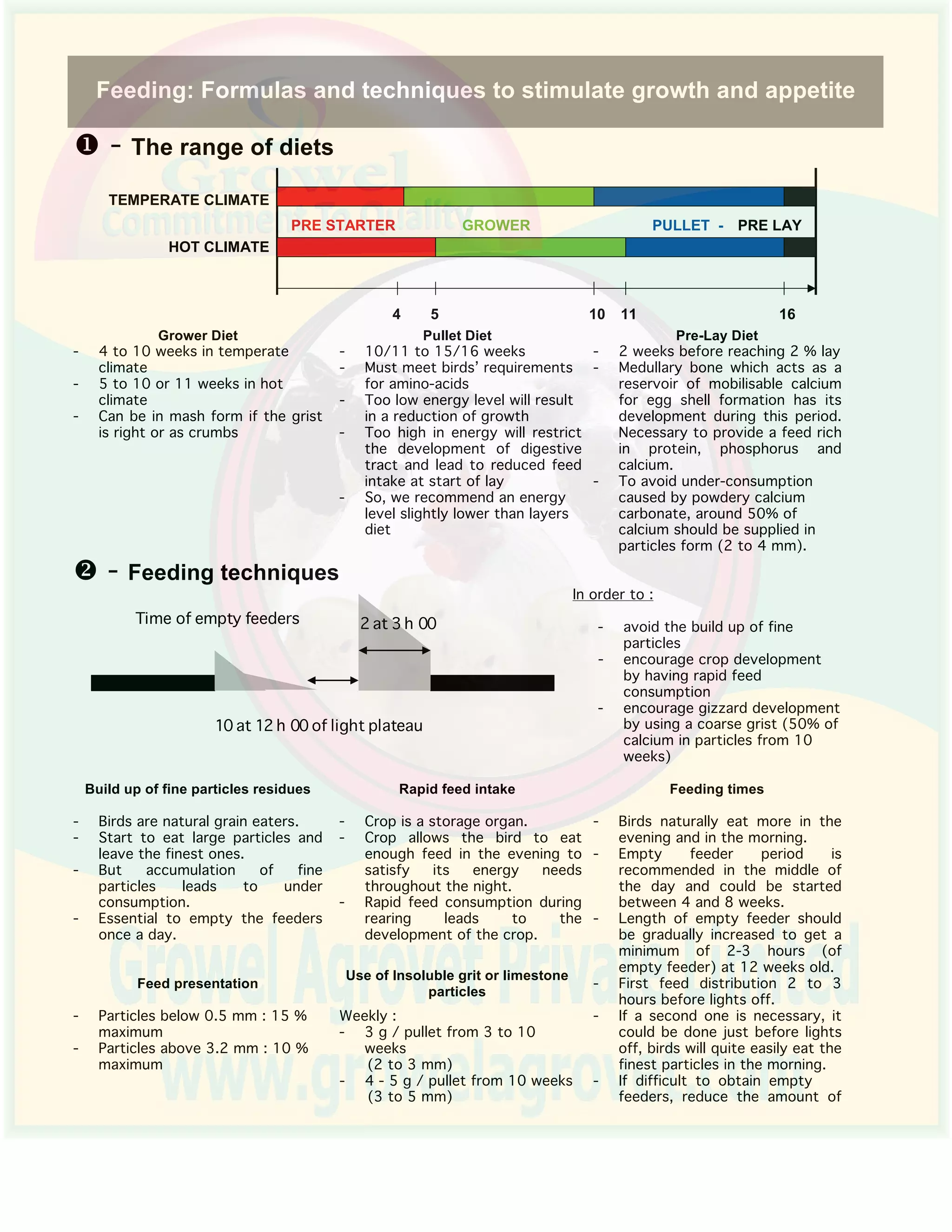 Brown Layer Poultry Farming Guide | PDF