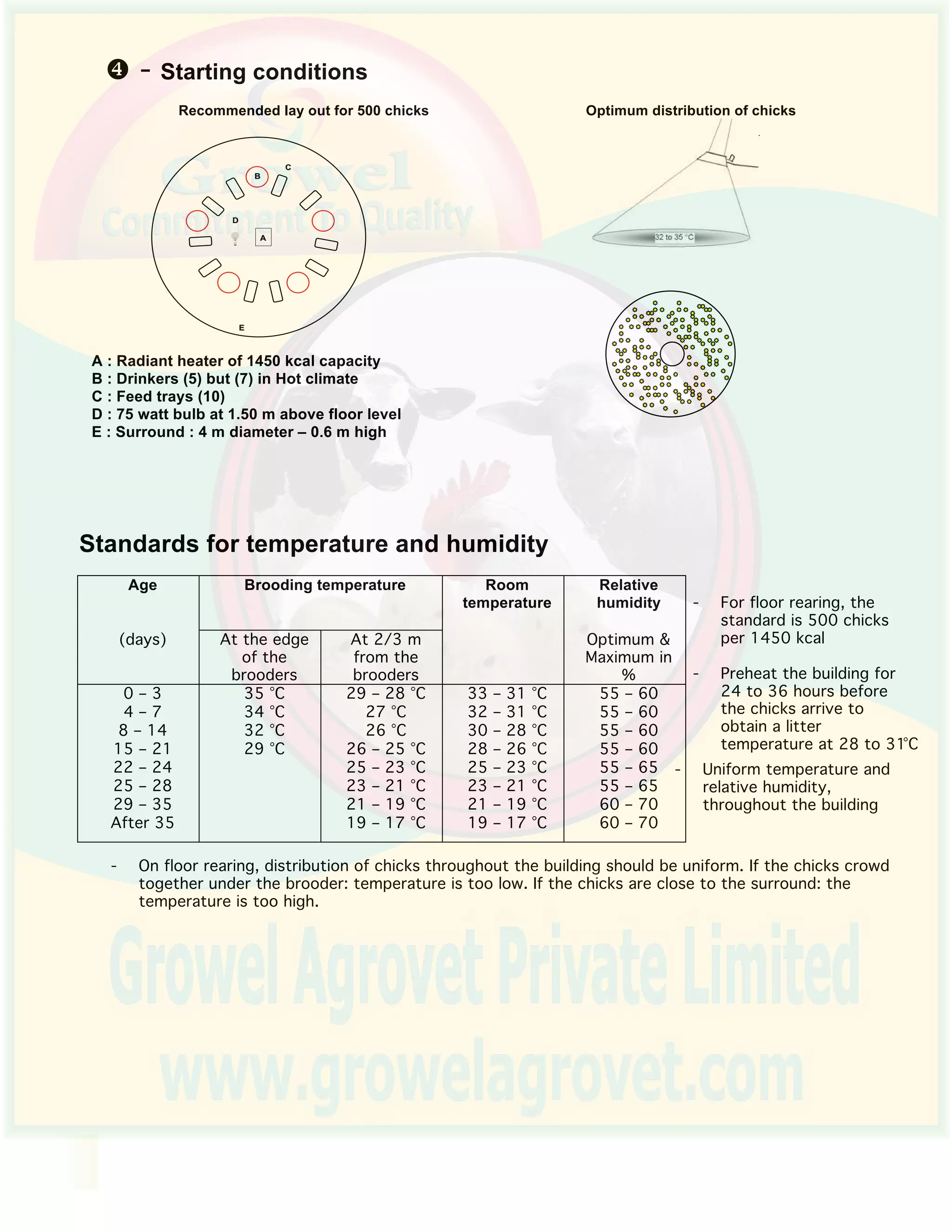 Brown Layer Poultry Farming Guide | PDF