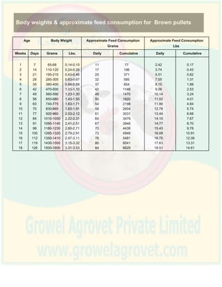 Brown Layer Poultry Farming Guide | PDF
