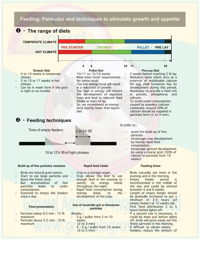 Brown Layer Poultry Farming Guide | PDF | Agriculture | Industries