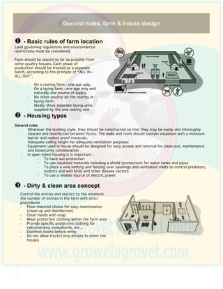 Brown Layer Poultry Farming Guide | PDF