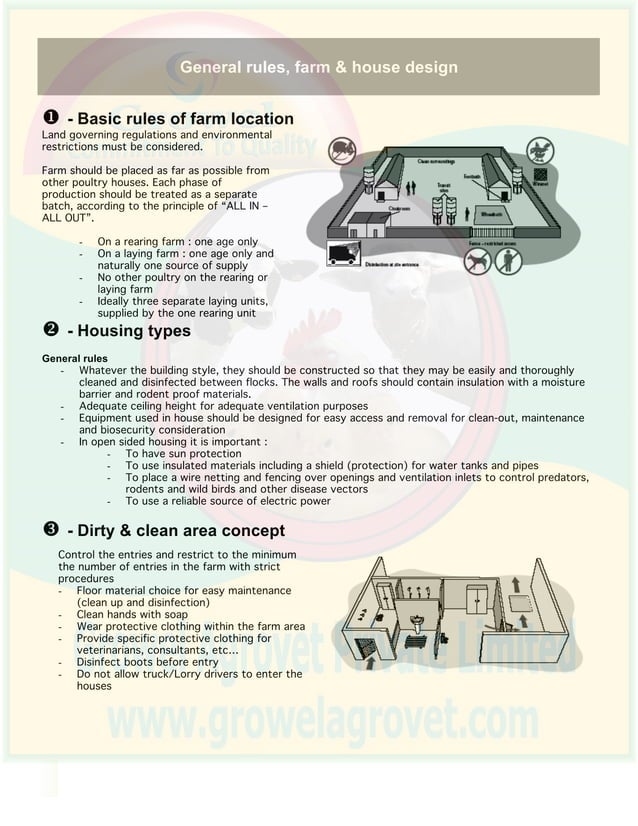 Brown Layer Poultry Farming Guide | PDF | Agriculture | Industries