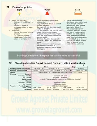 Brown Layer Poultry Farming Guide | PDF