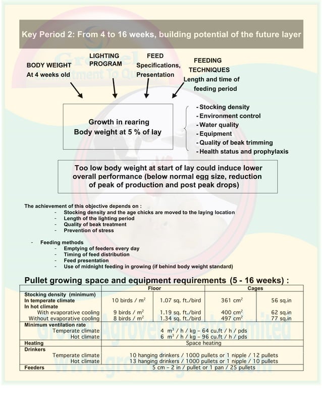 Brown Layer Poultry Farming Guide | PDF | Agriculture | Industries