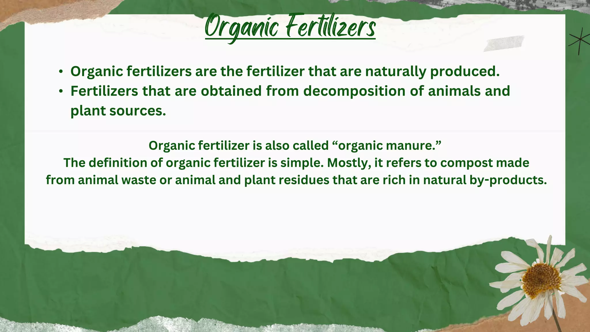 Fertilizers topic mainly for school and college level Scrapbook ...