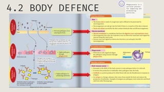 SCIENCE DLP Form 2 chapter 4 Human health notes | PDF | Infectious ...