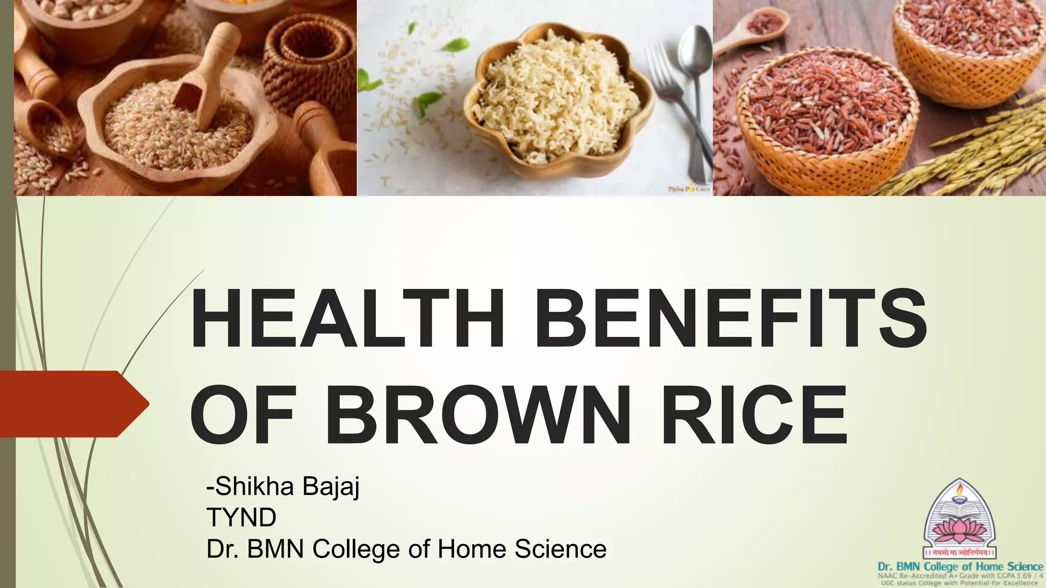 Brown rice ida ppt | PPTX