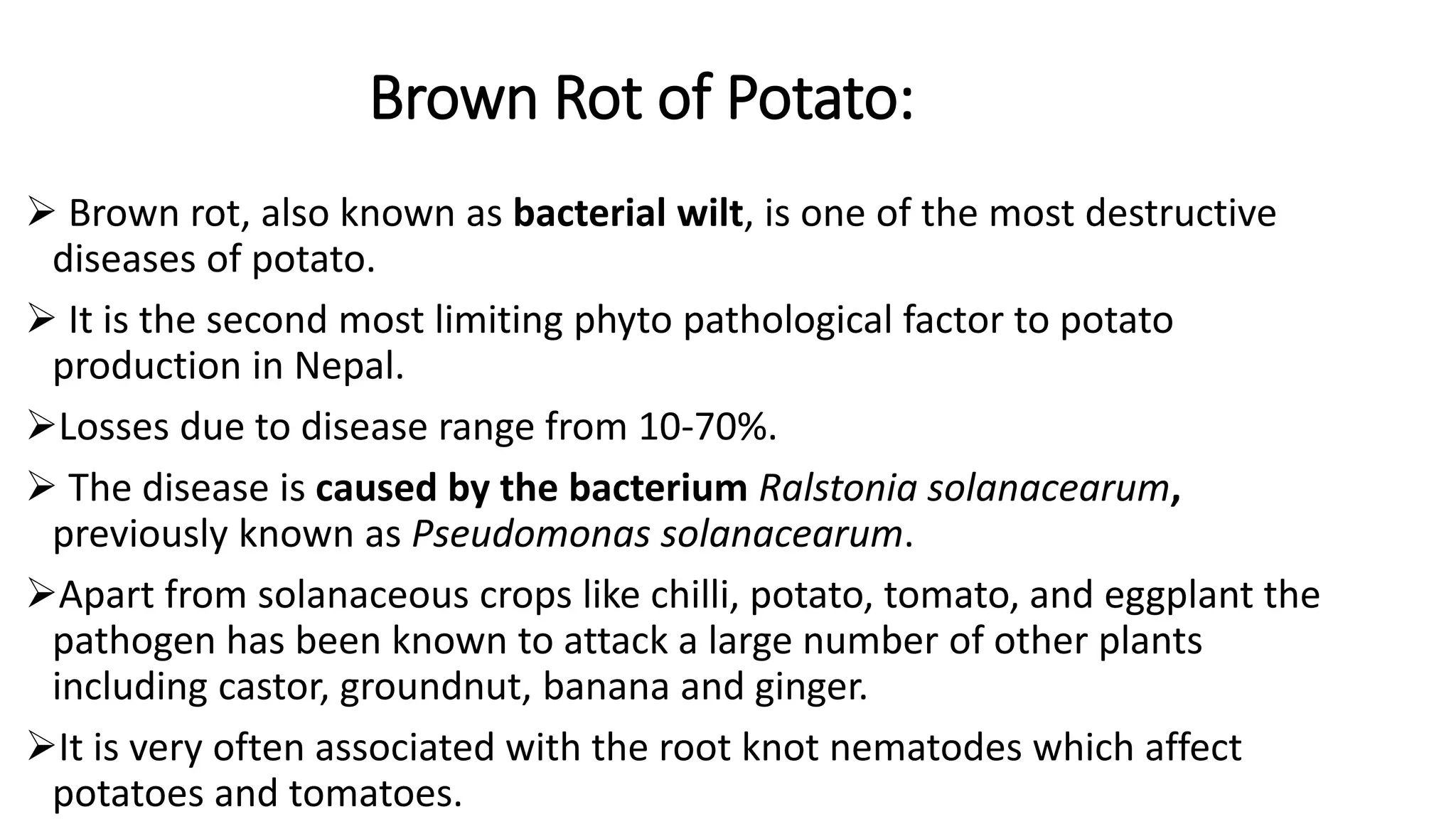 BrownRotofPotato.pptx