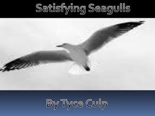Brown Seagull Powerpoint | PPTX | Birds | Pets