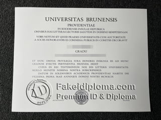 Brown University Diploma