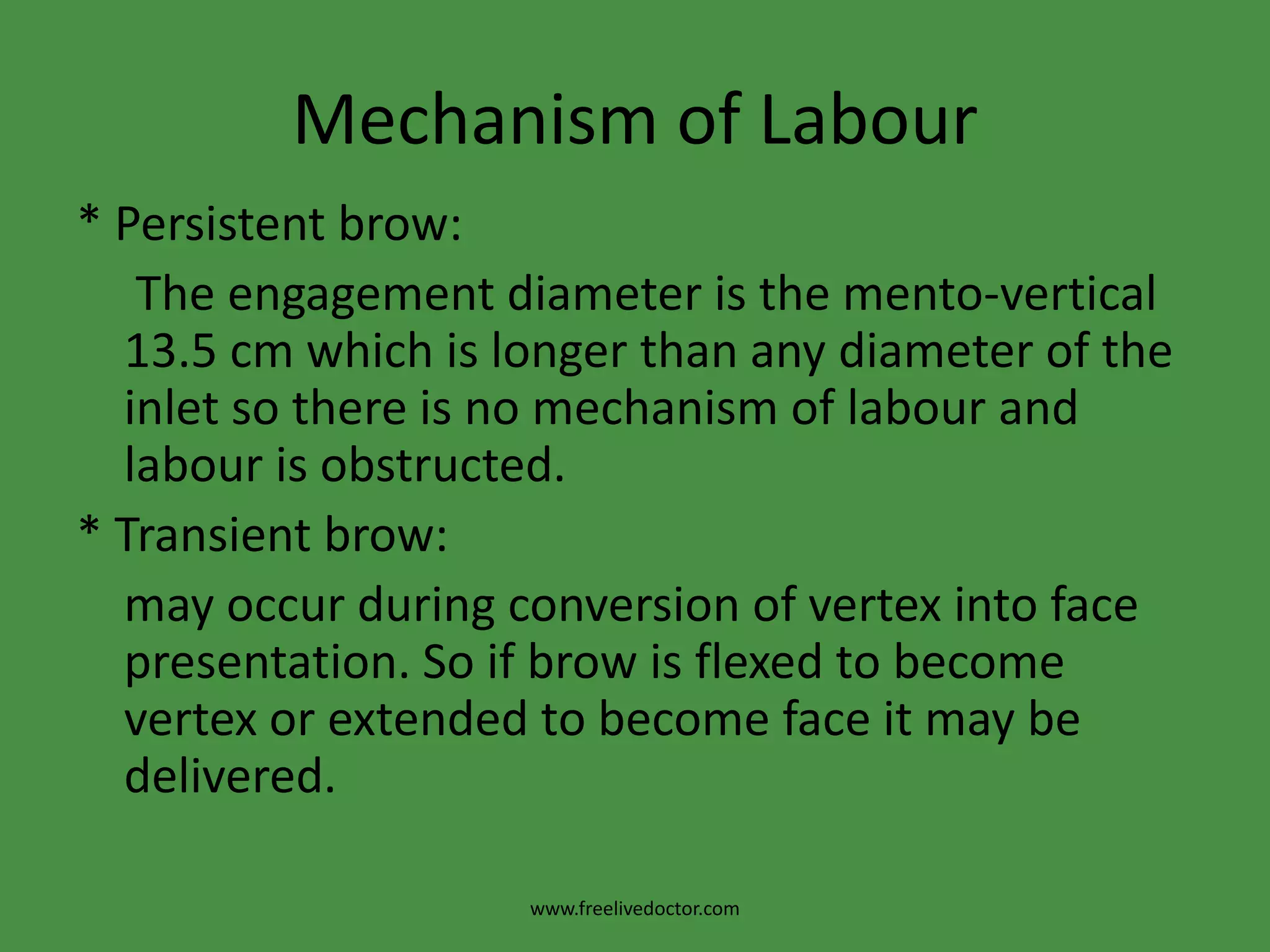 Brow presentation | PPTX