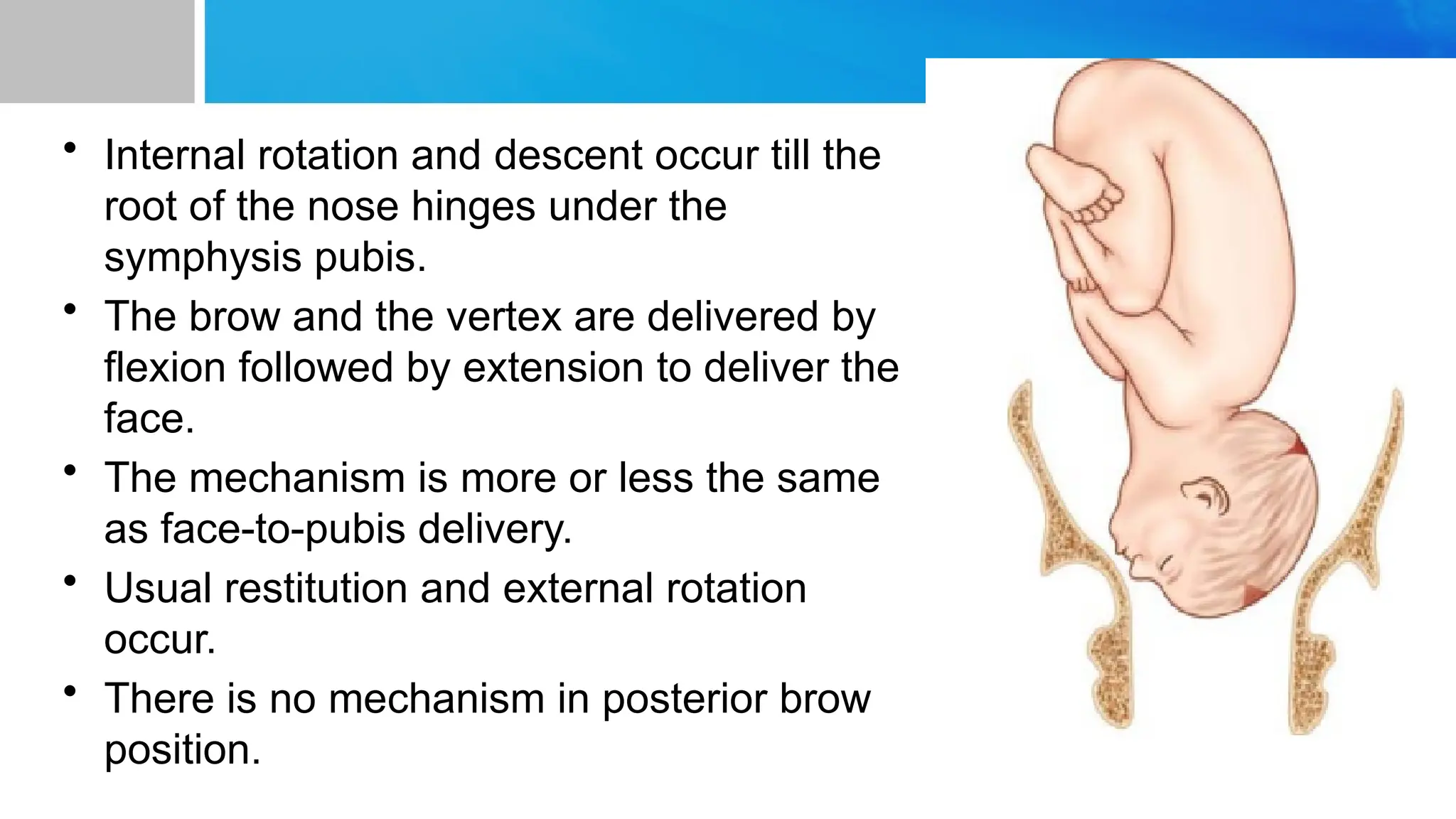 browpresentation-230607041326-26963735.pptx