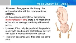 Brow presentation.pptx