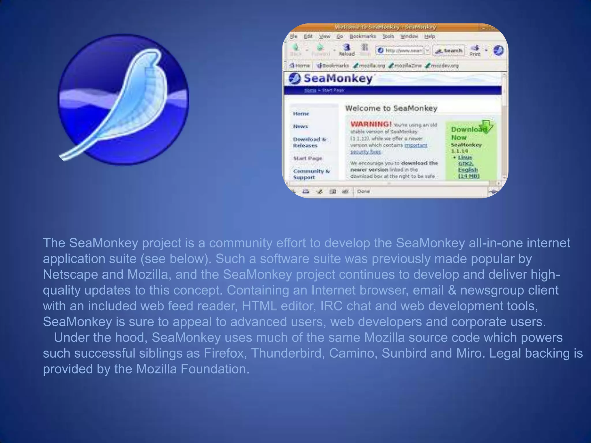 Browsers-sabina ramirez | PPTX | Browsers | Computer Software and ...