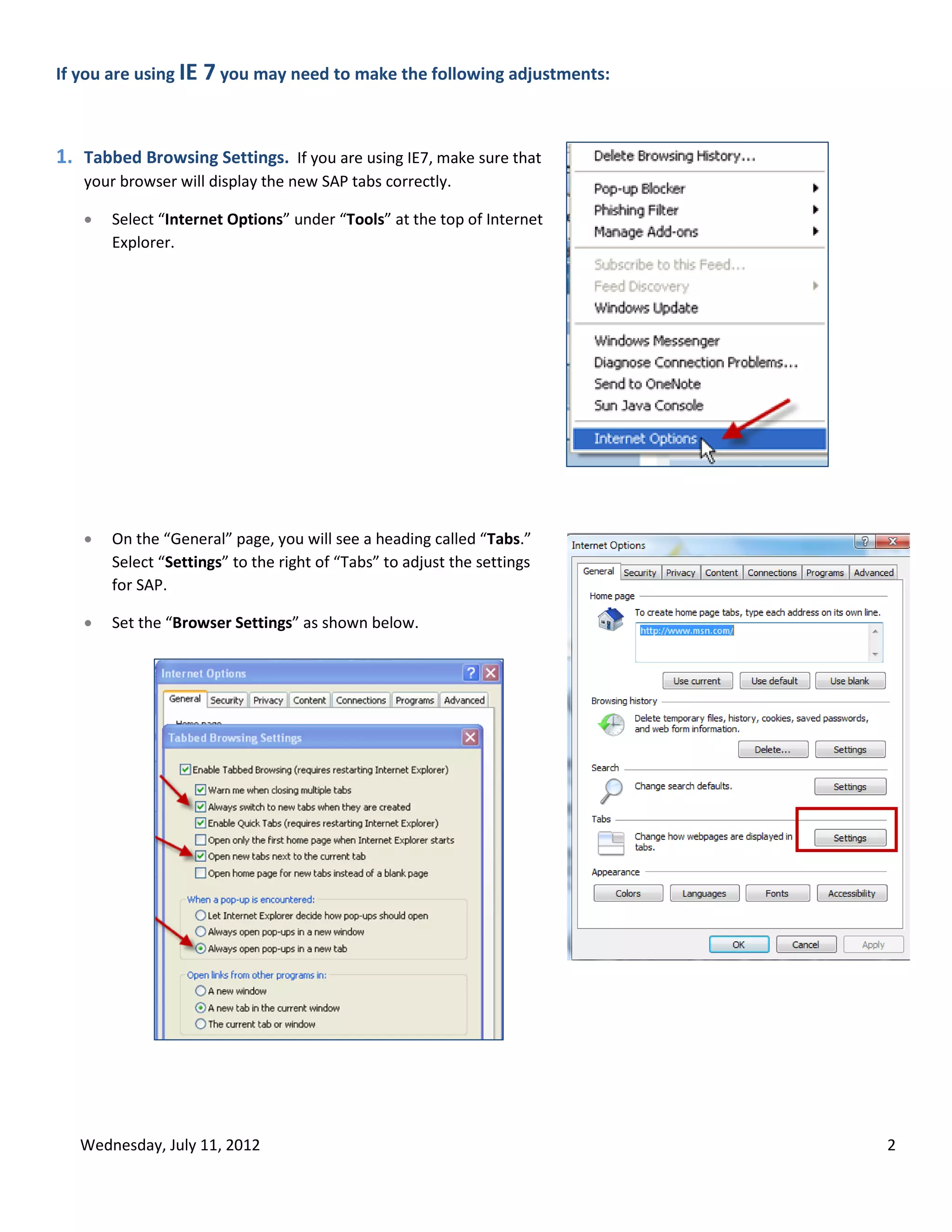 SAP and Browser settings- Support | PDF