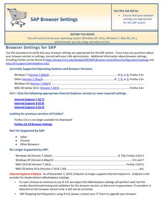 SAP and Browser settings- Support | PDF